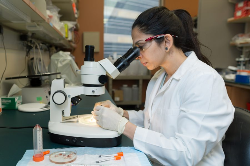 Voice Research Training Program (T32) – Department of Otolaryngology ...