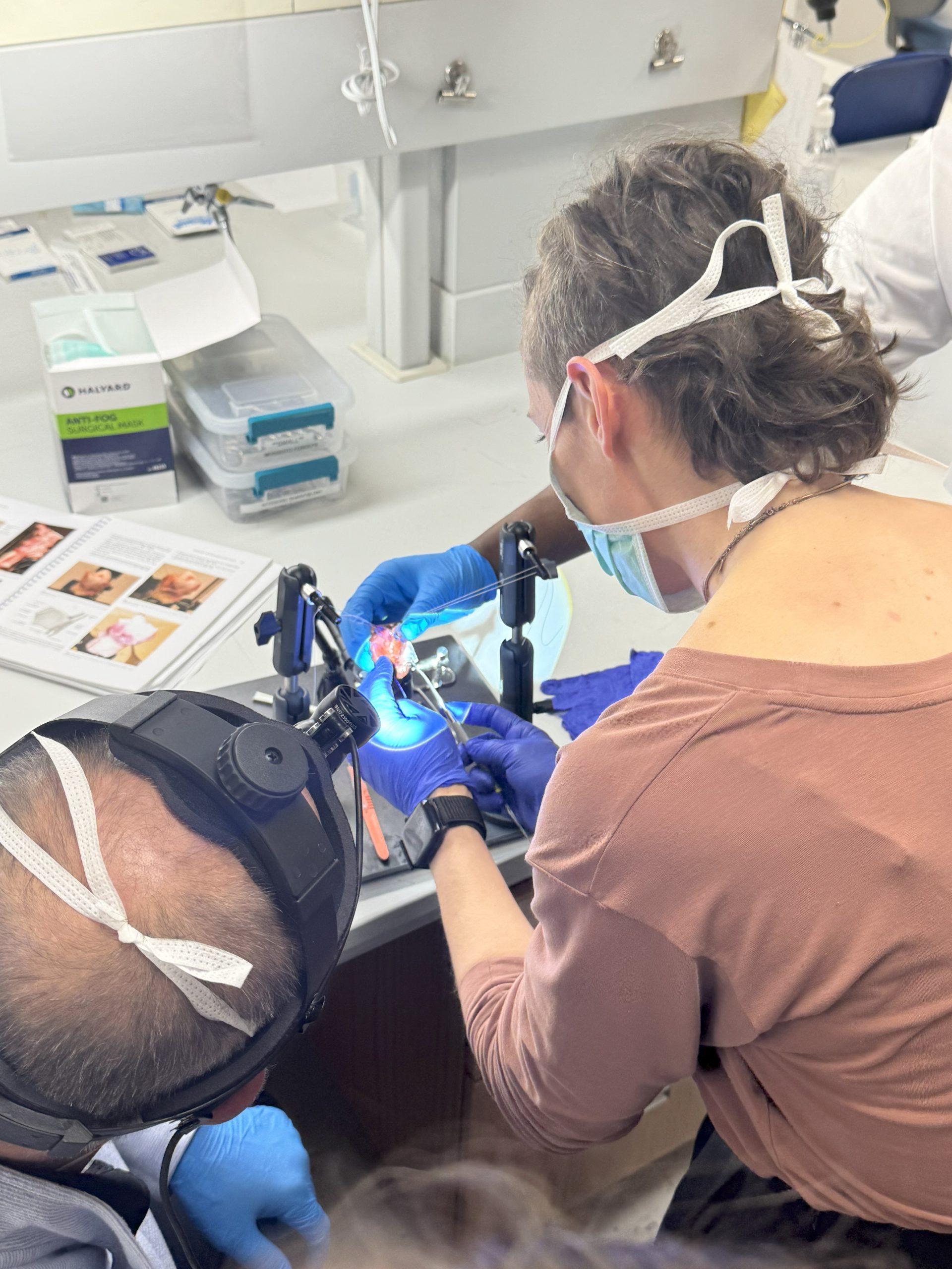 Laryngeal Dissection Course – Department of Otolaryngology-Head and ...